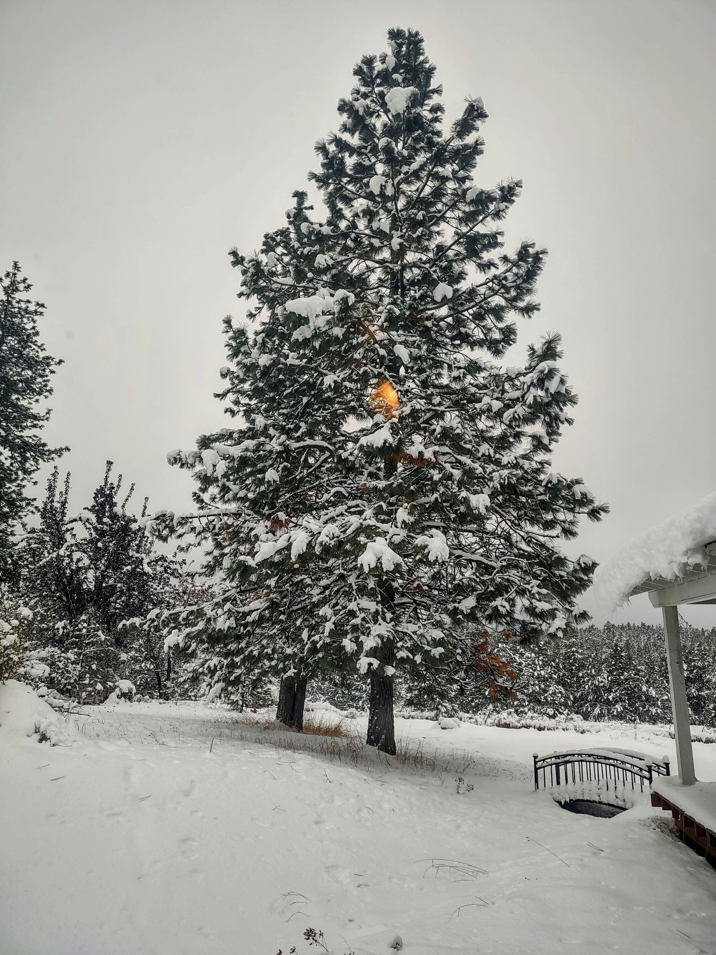 Double J Ranch Camping | Coeur d'Alene, Idaho