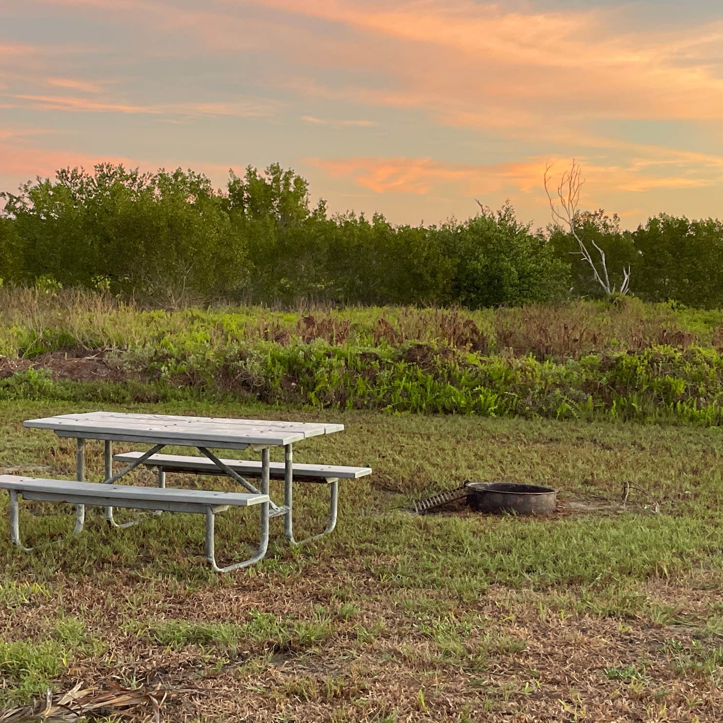 Flamingo at Everglades Eco-Tents Camping | The Dyrt