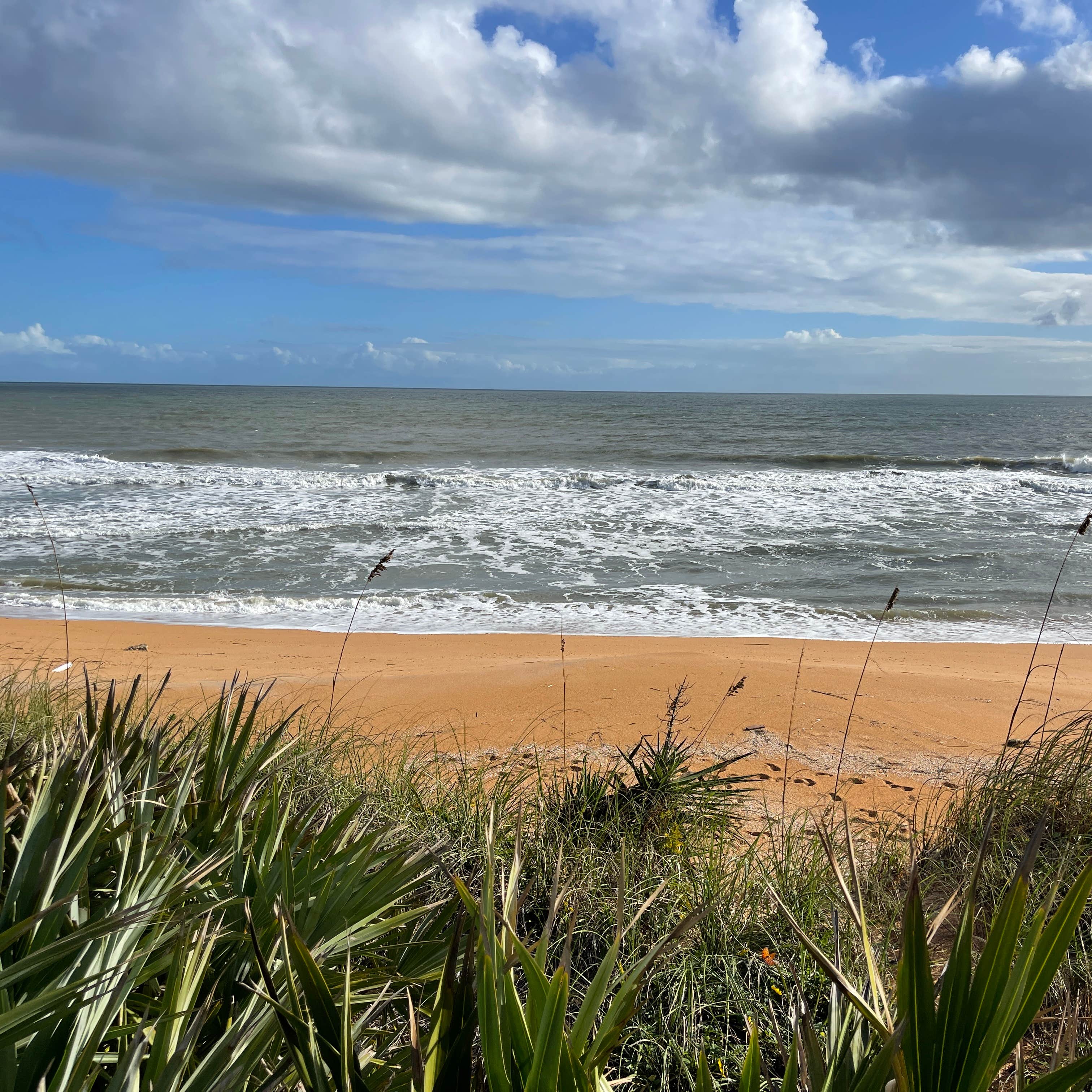 Gamble Rogers Memorial State Recreation Area at Flagler Beach Camping ...