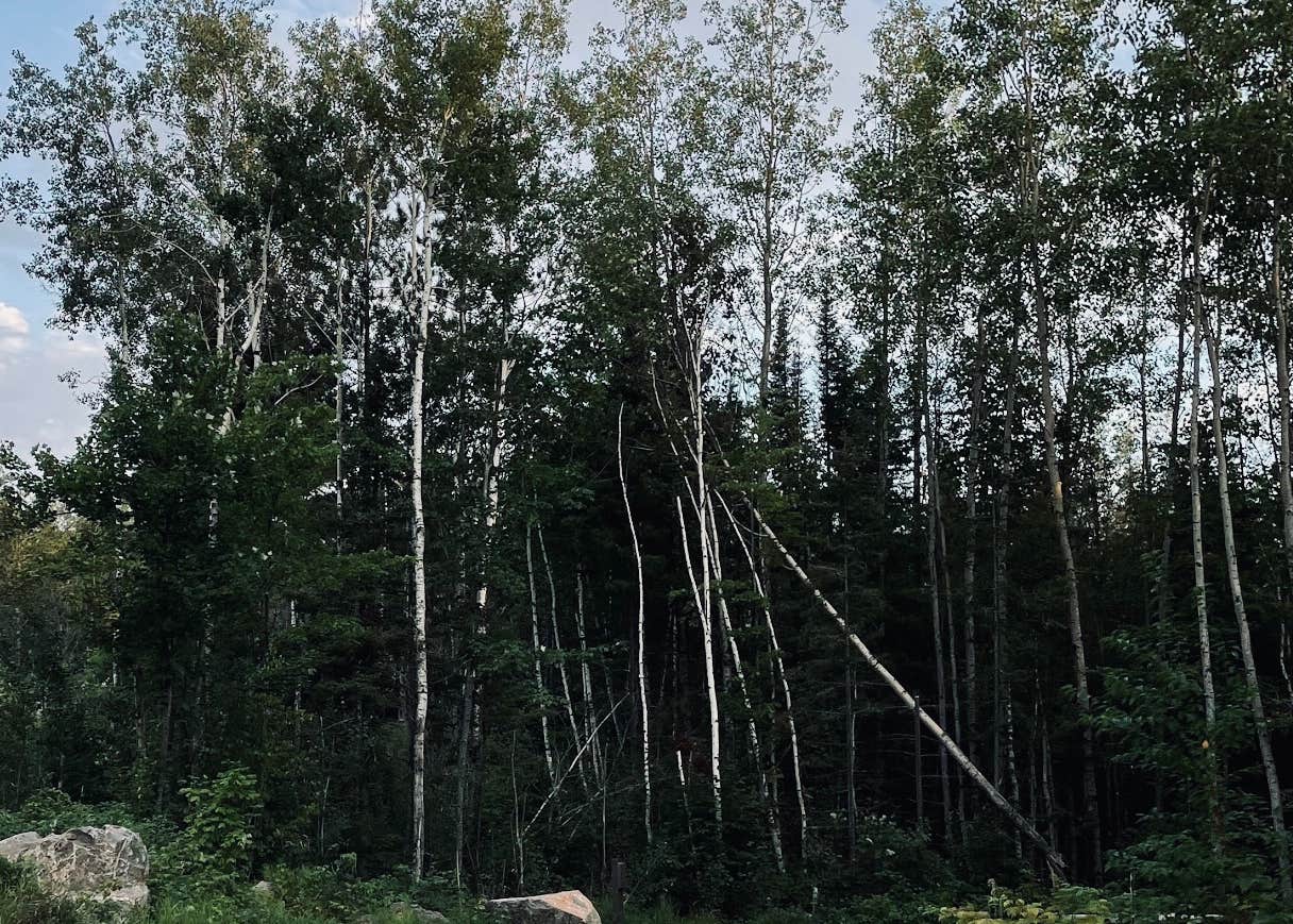 Vermilion Campground Camping | The Dyrt