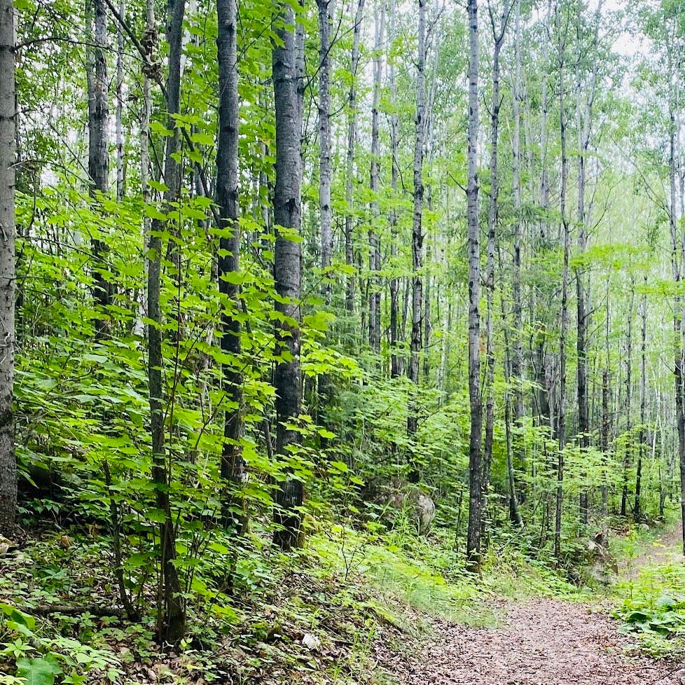 Vermilion Campground Camping | The Dyrt