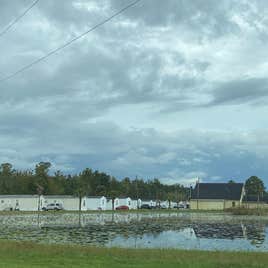 21 Palms RV Resort | Davenport, Florida