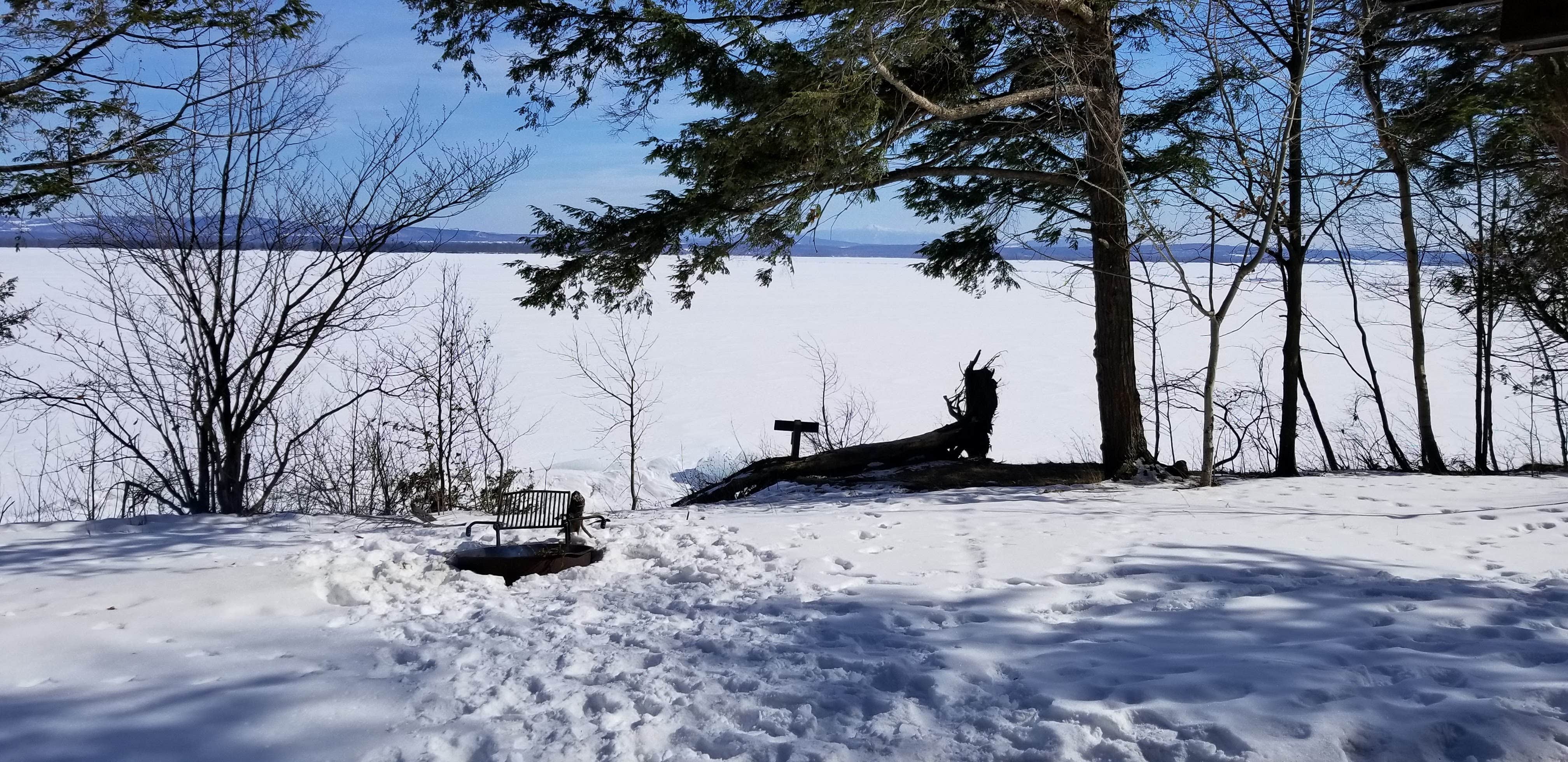 Knight Island State Park Campground | St Albans Bay, VT