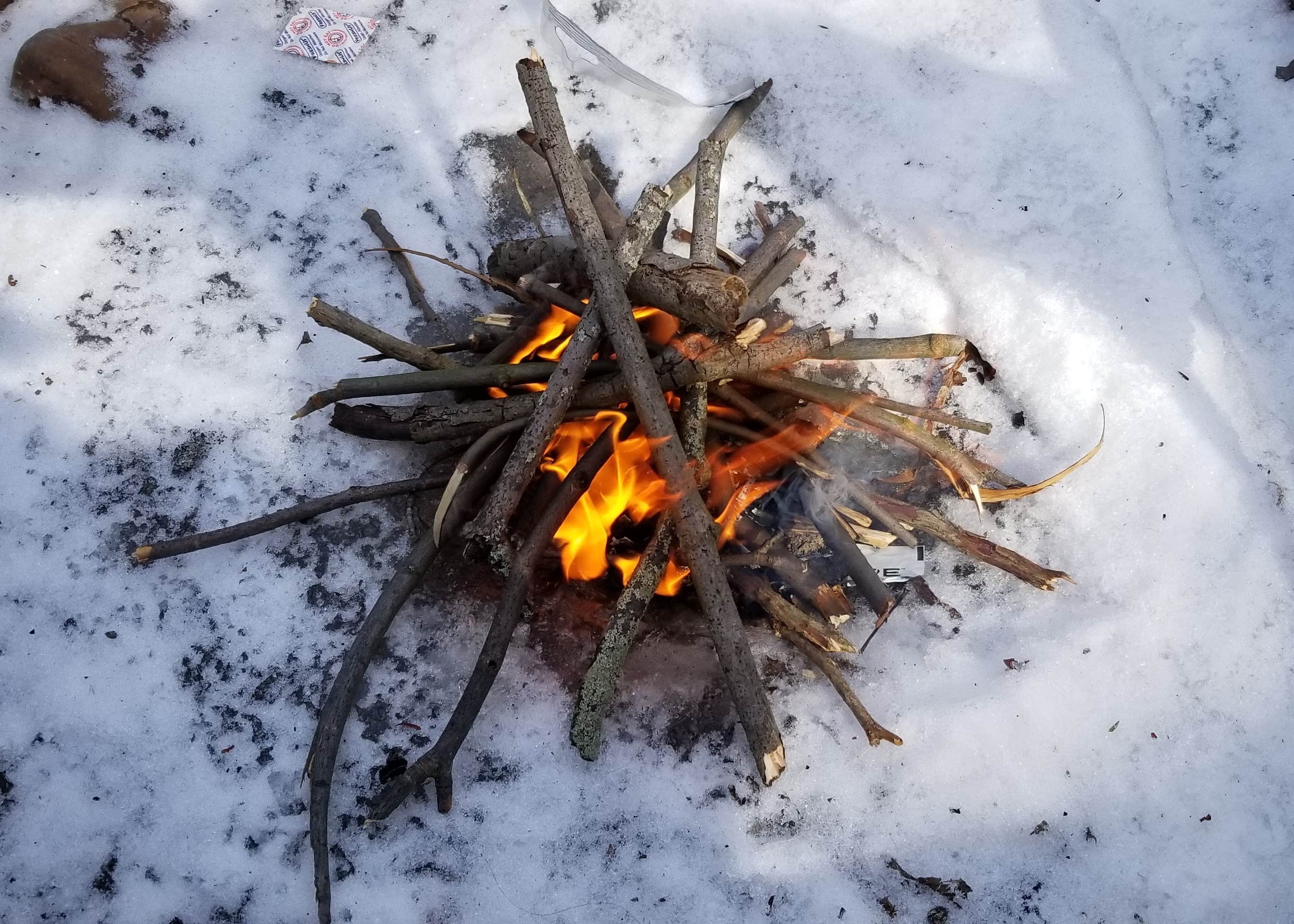 Knight Island State Park Camping | The Dyrt