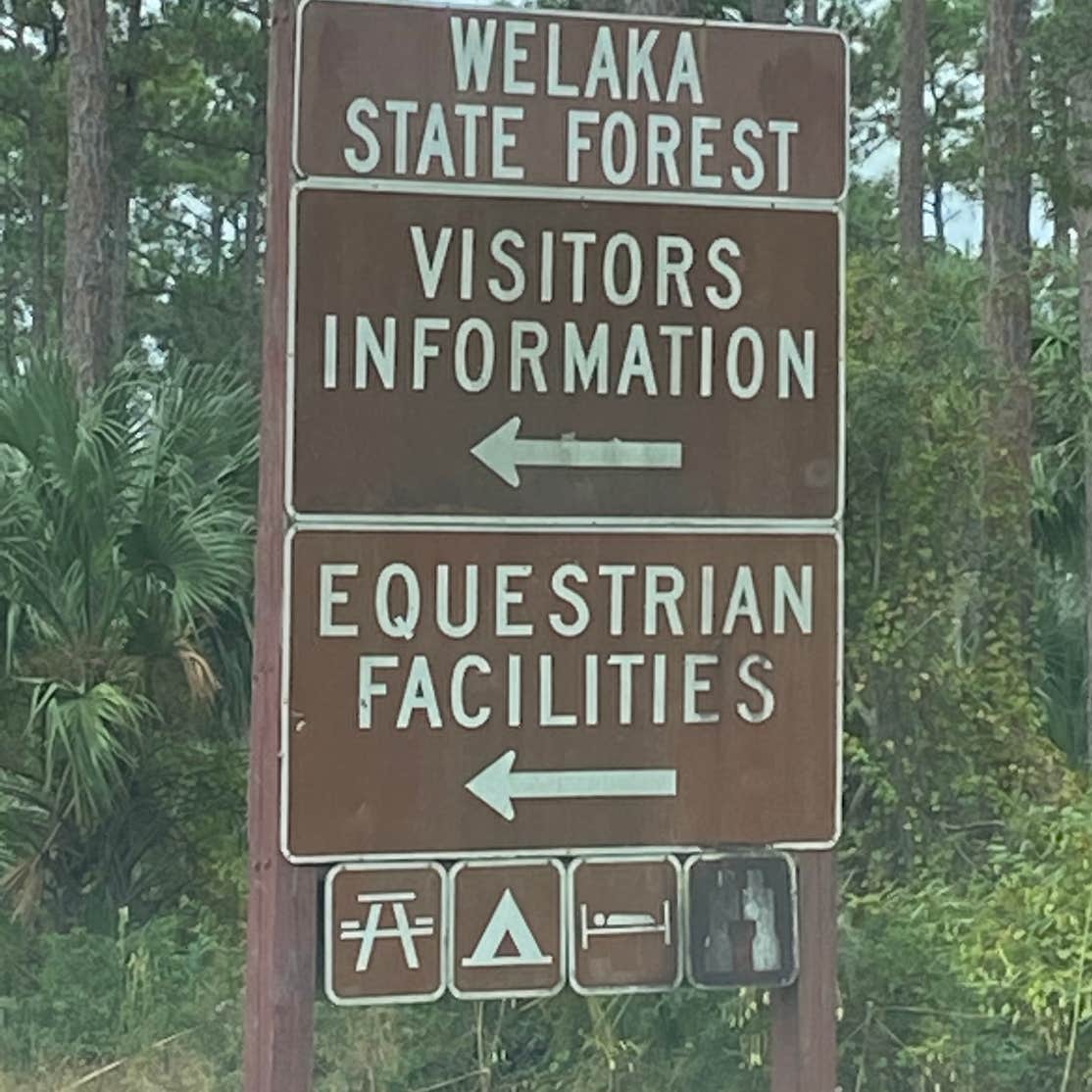 Welaka State Forest Camping | Welaka, FL