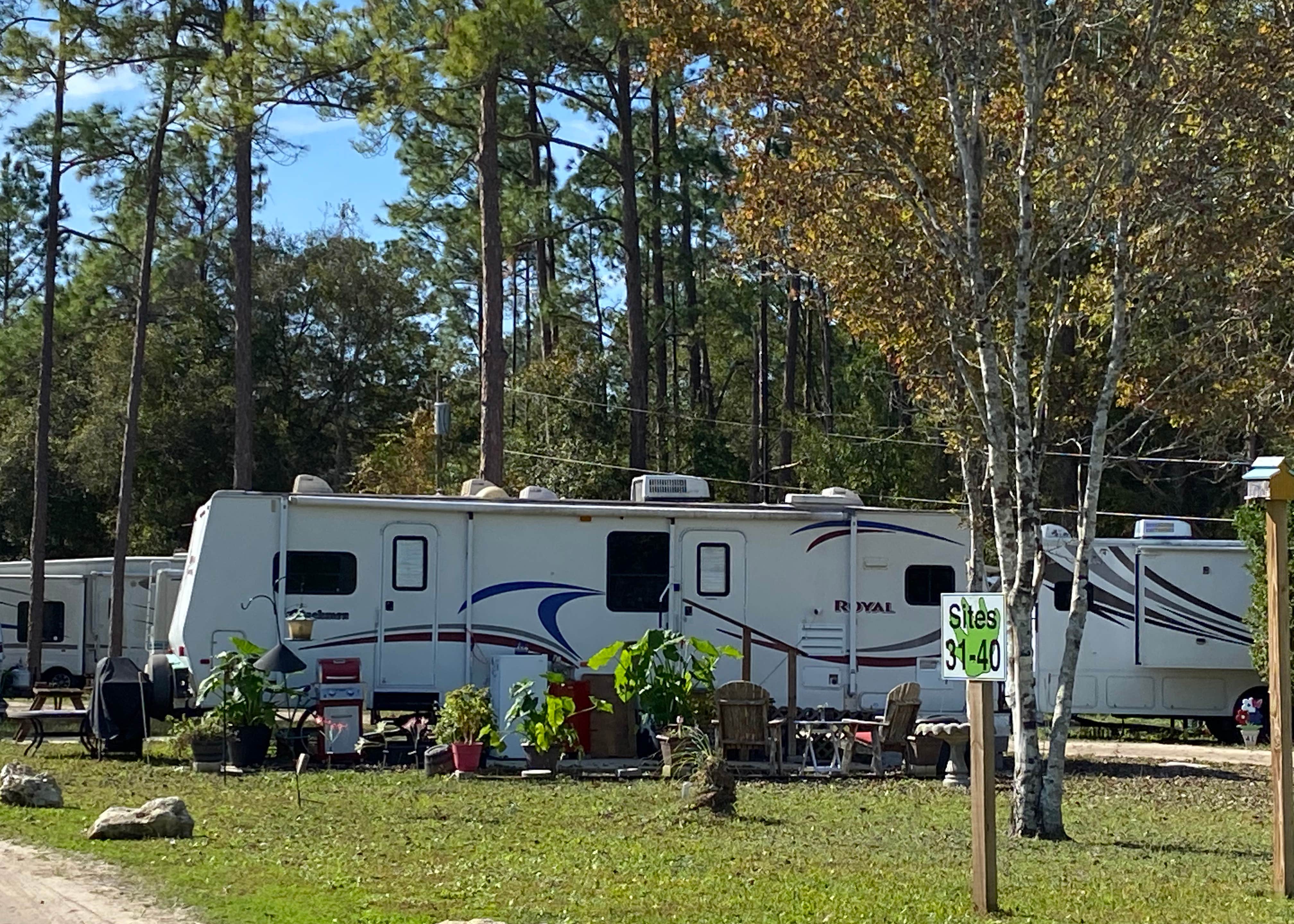 Smiling Gator RV Park Camping | The Dyrt