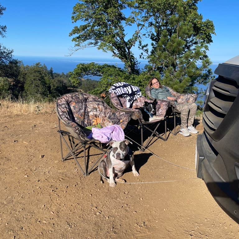 Plasket Ridge Dispersed Campground Camping | The Dyrt