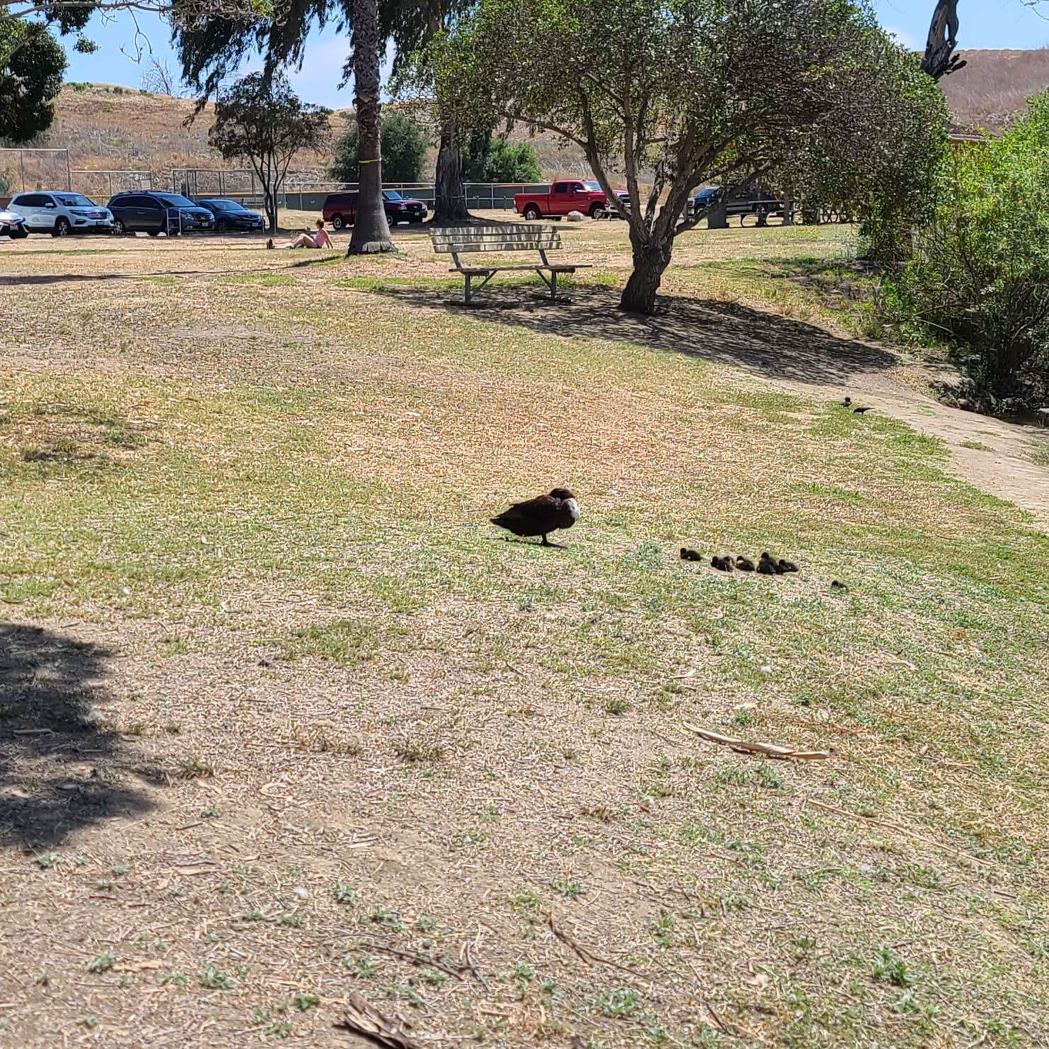 Lake ONeill Recreation Area Camping | Fallbrook, California