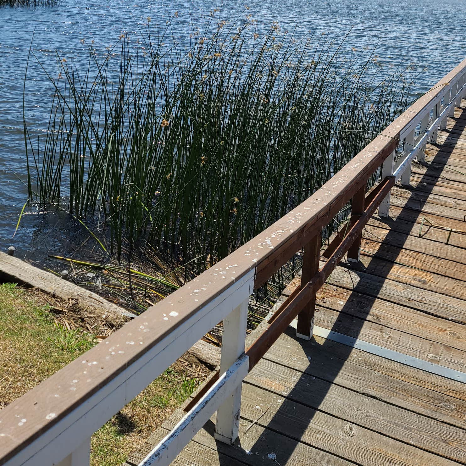 Lake ONeill Recreation Area Camping | Fallbrook, California