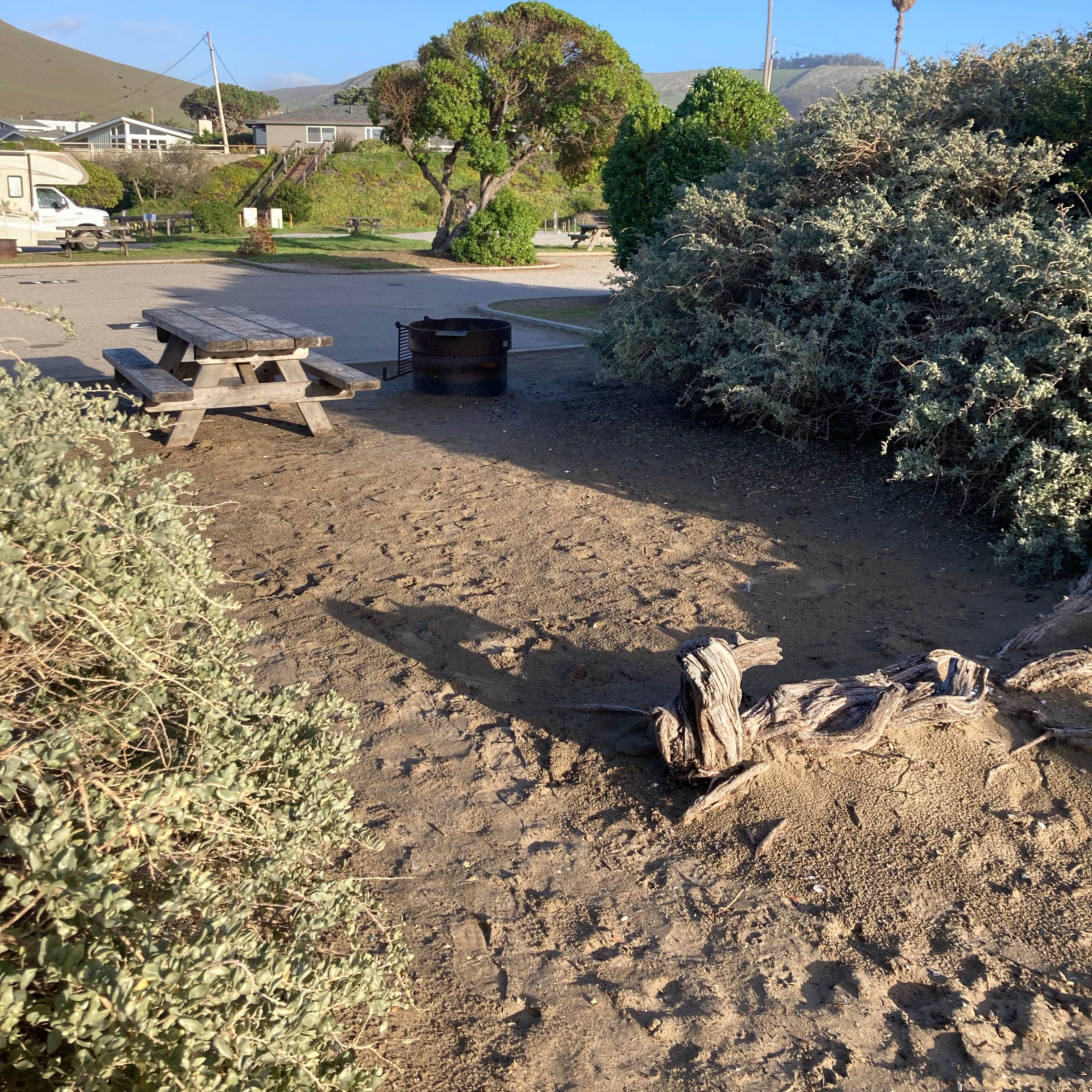 Morro Strand State Beach Campground | Morro Bay, California