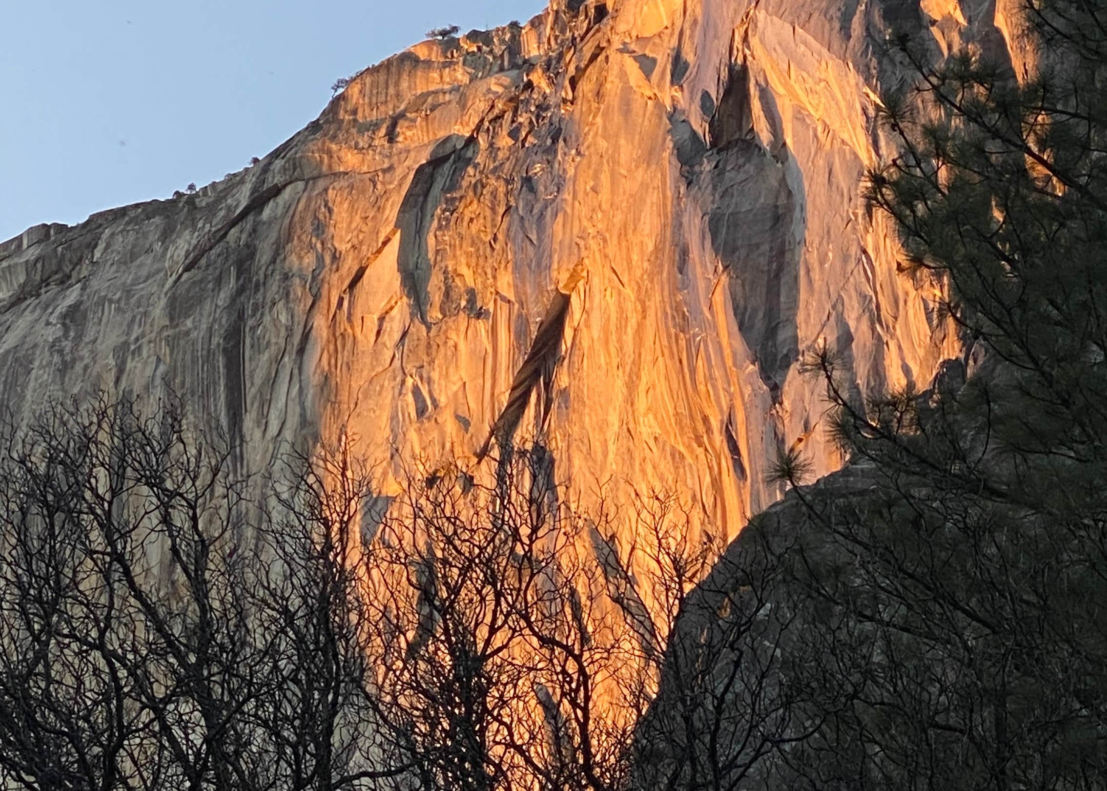 AutoCamp Yosemite Camping | The Dyrt