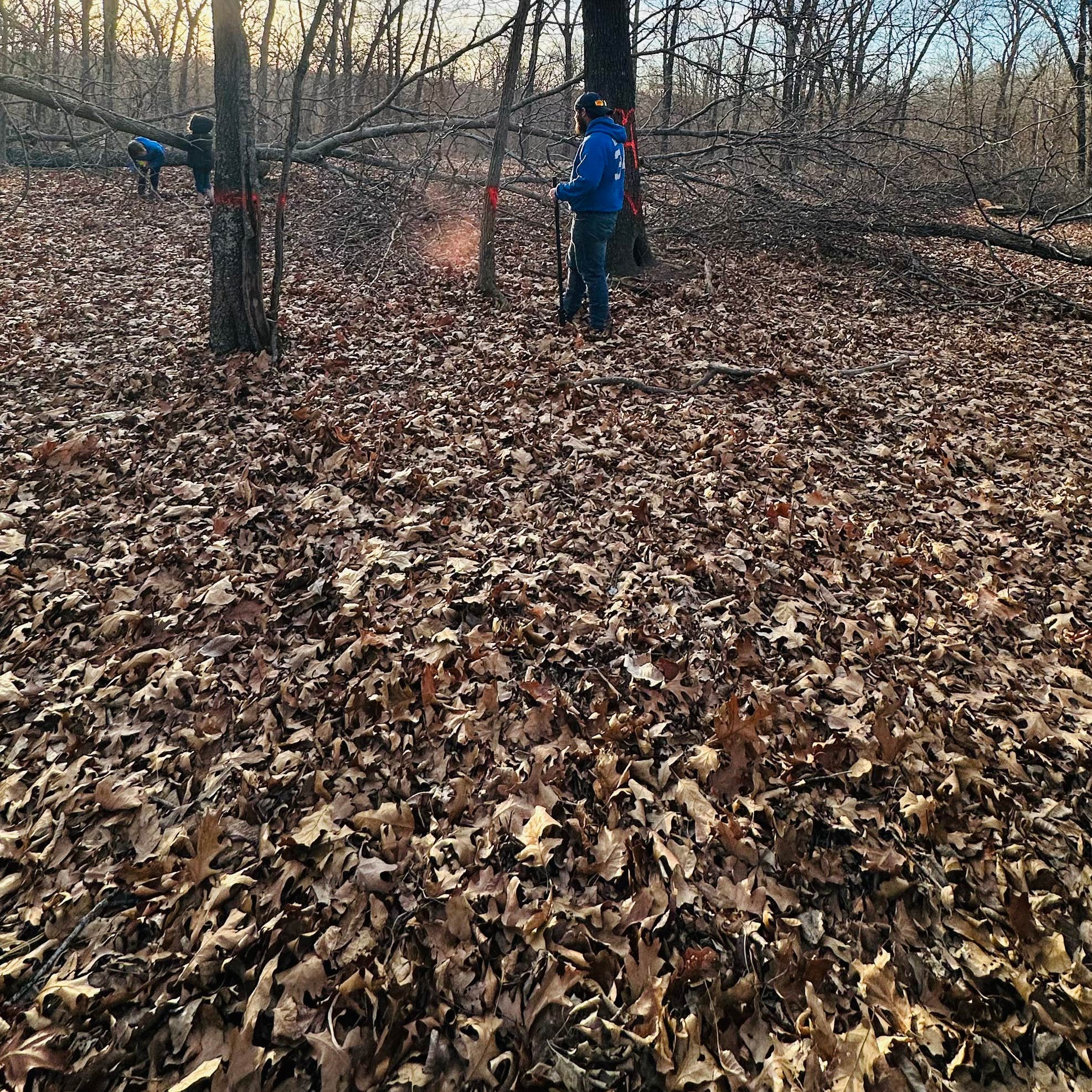 Timber Springs Campground Camping | The Dyrt