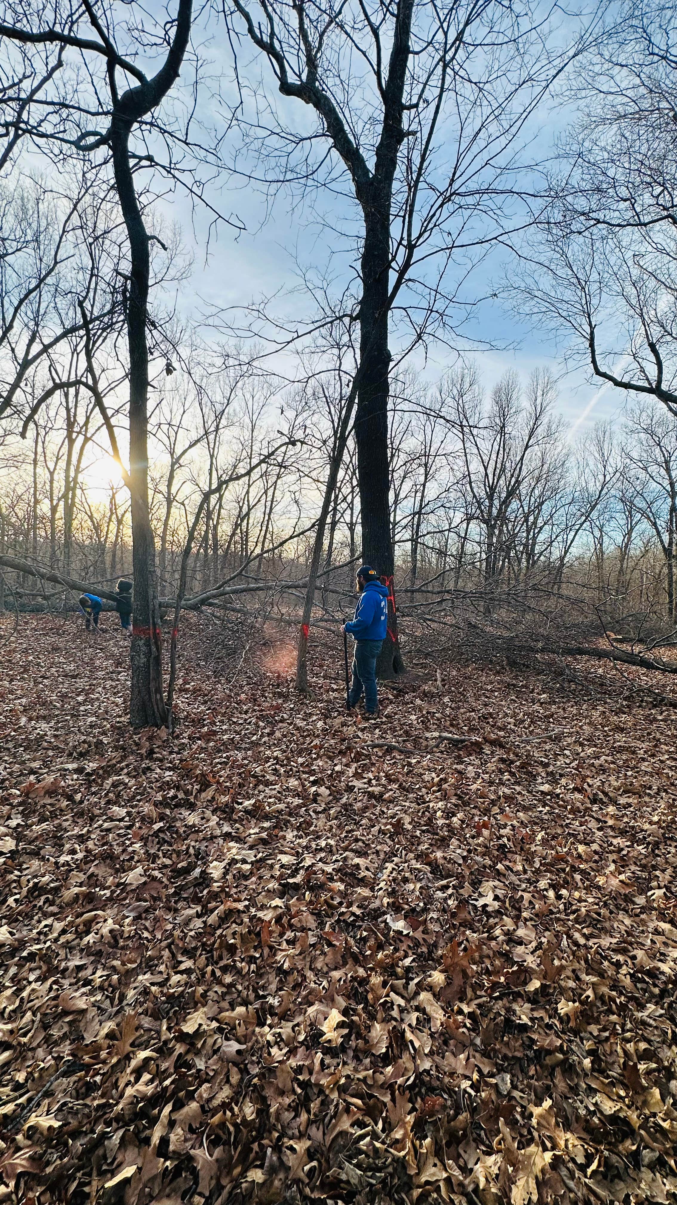 Timber Springs Campground | Disney, OK