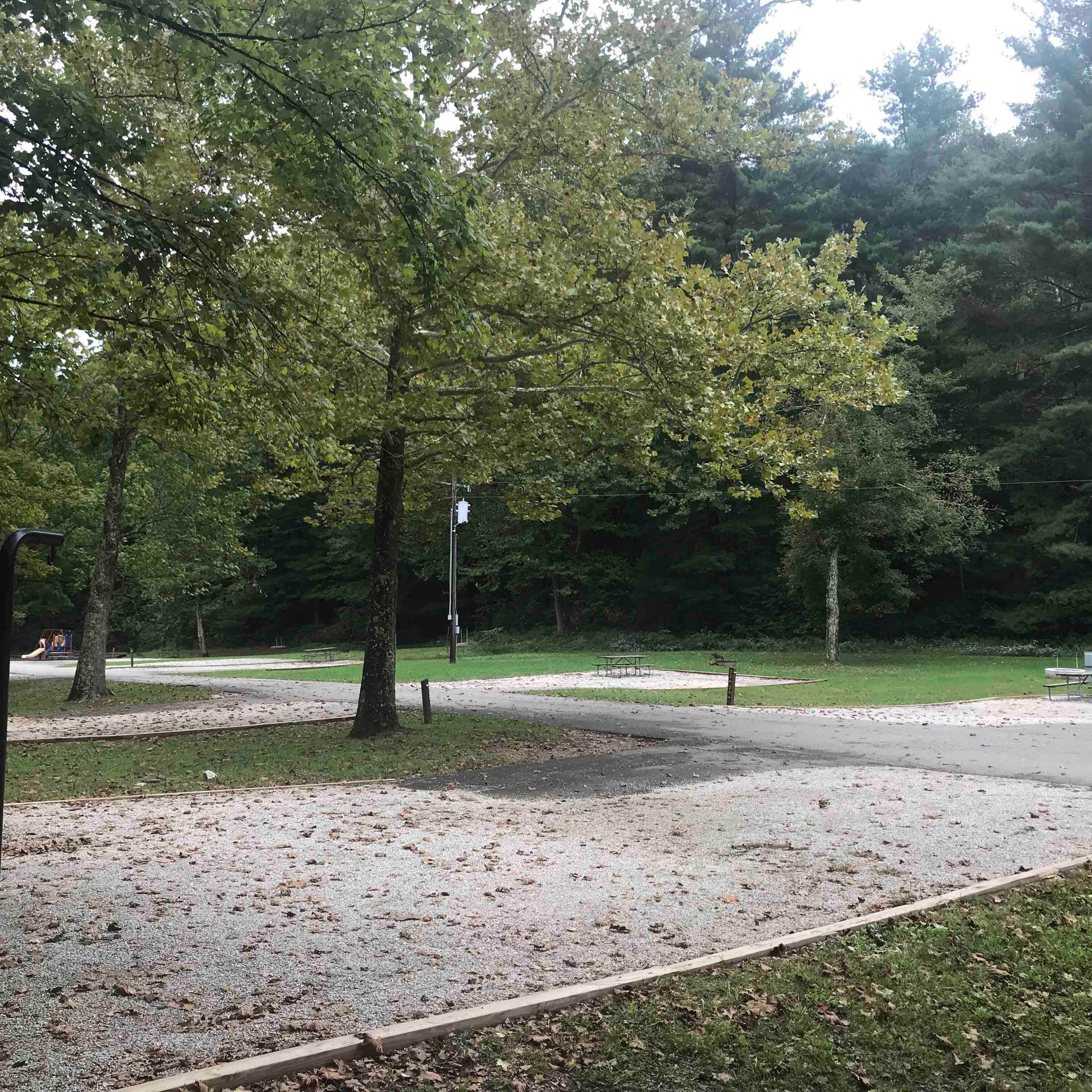 Greenbo Lake State Park Camping | The Dyrt