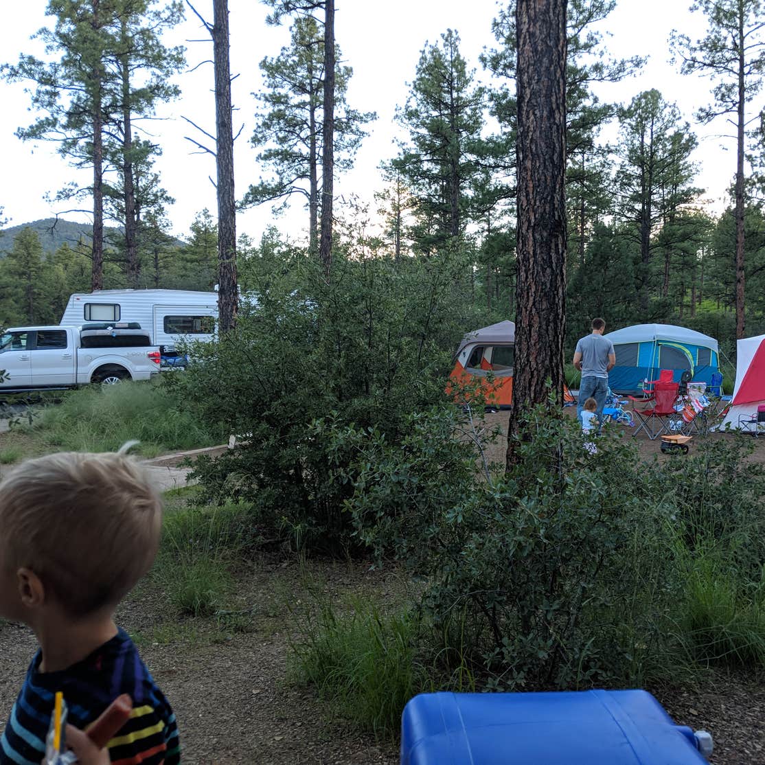 Eagle Ridge Group Campground | Prescott, Arizona
