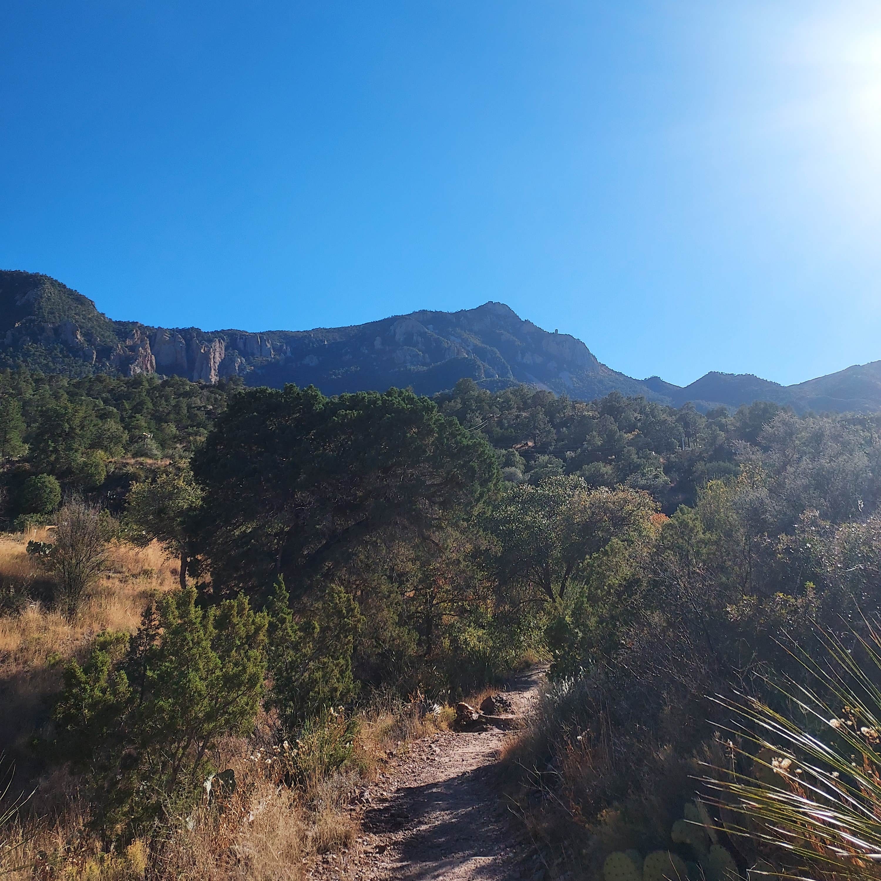 Juniper Flats 1 — Big Bend National Park Camping | Big Bend National ...