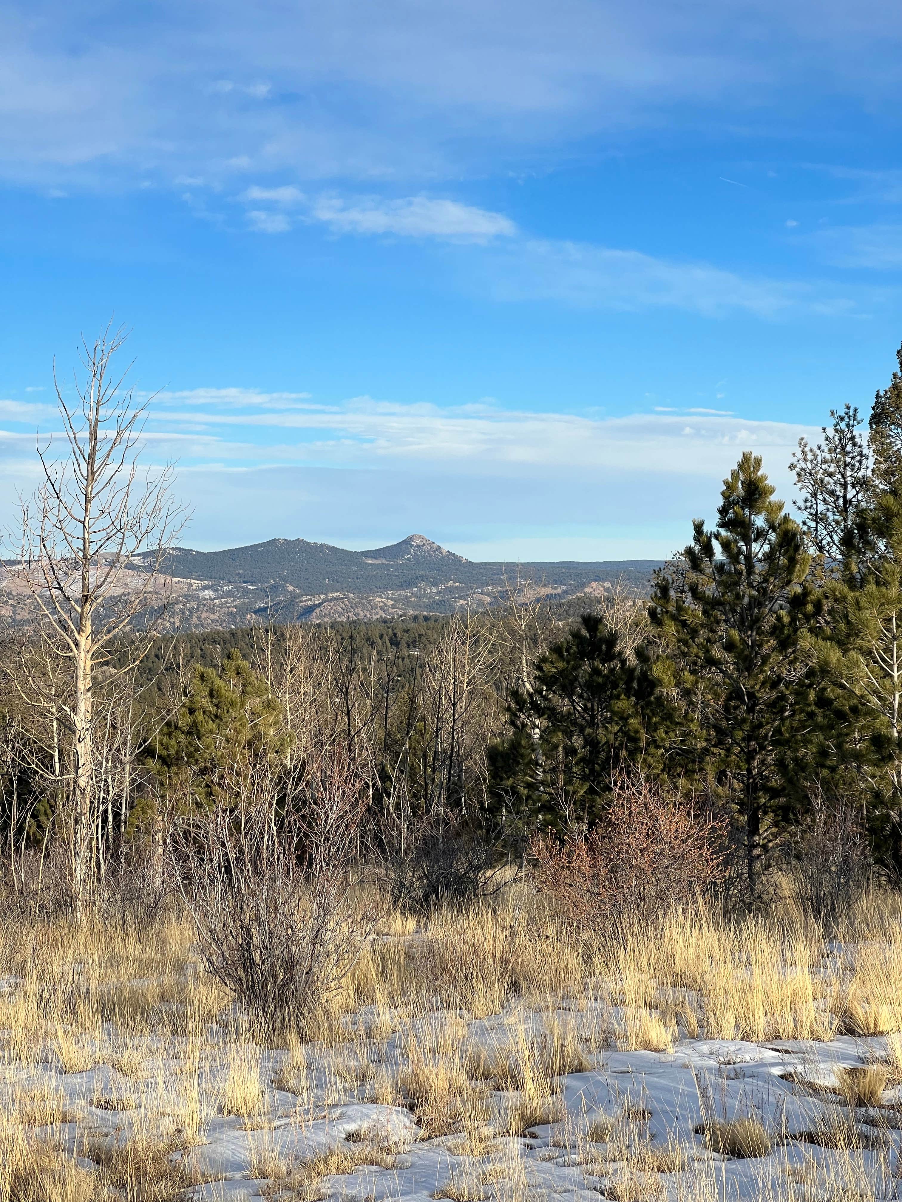 Forest Service Road 250 Dispersed Camping | Lake George, Colorado