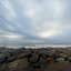 Hobson Beach County Park Camping | Ventura, CA
