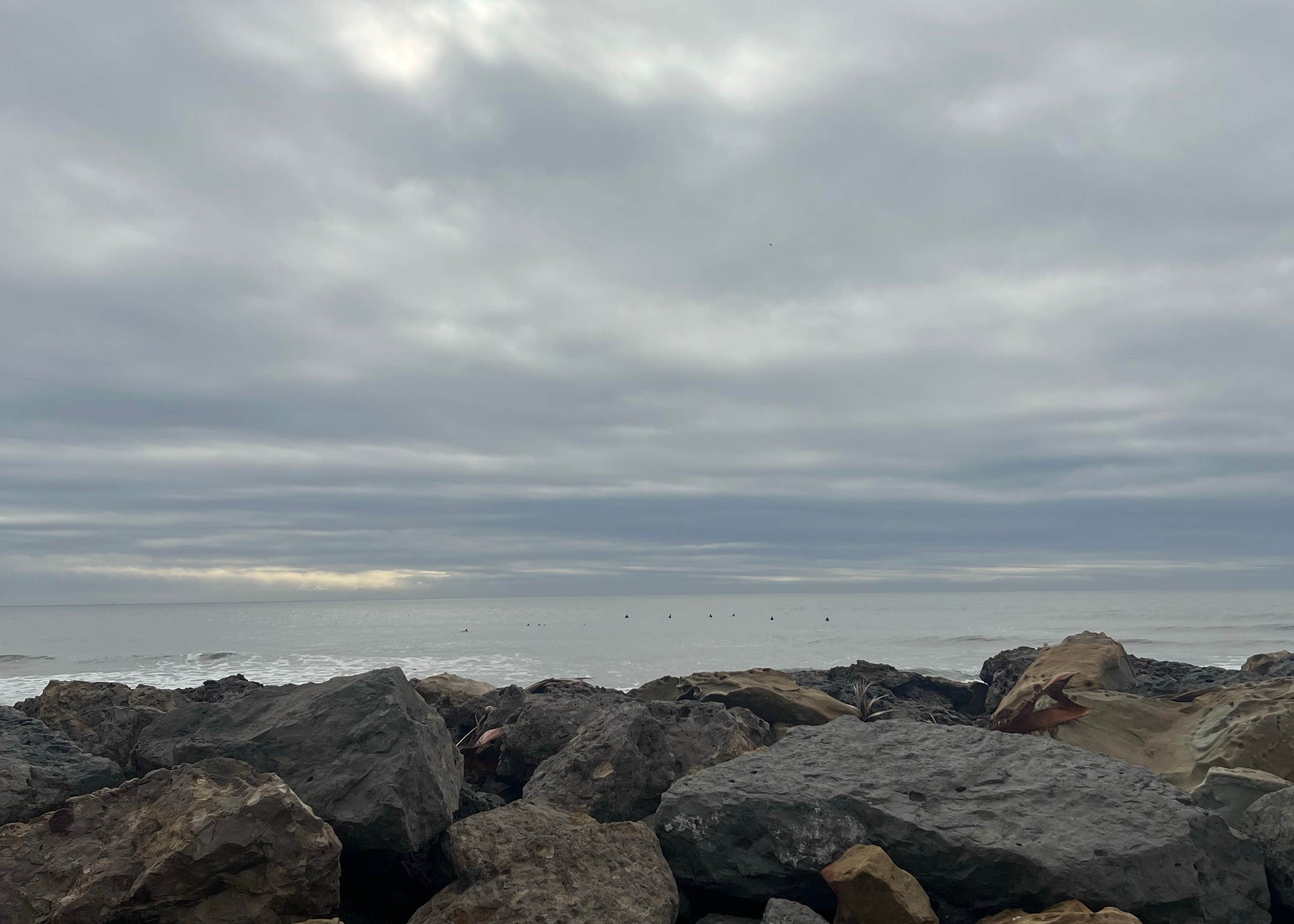 Hobson Beach County Park Camping | The Dyrt