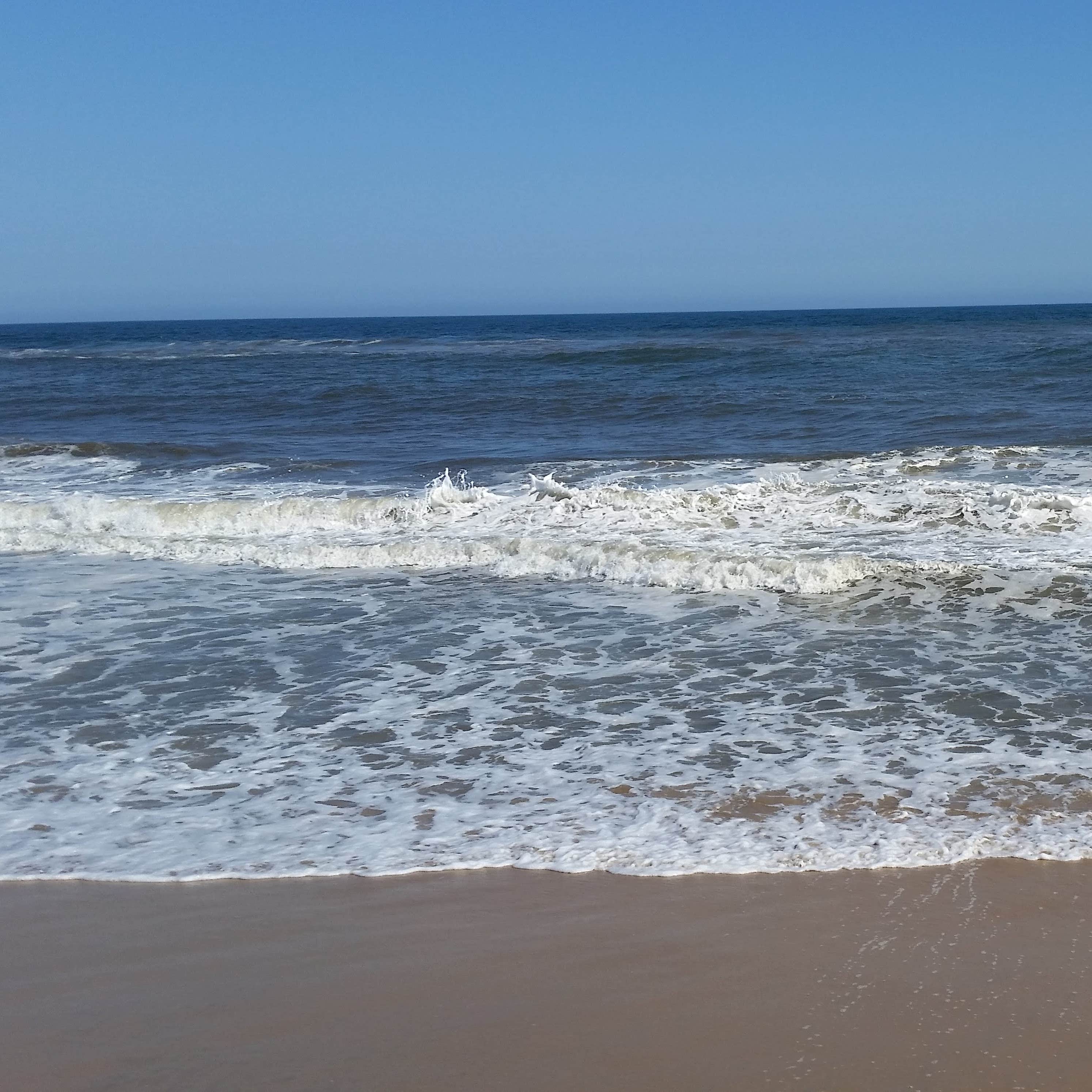 Hither Hills State Park Camping | The Dyrt