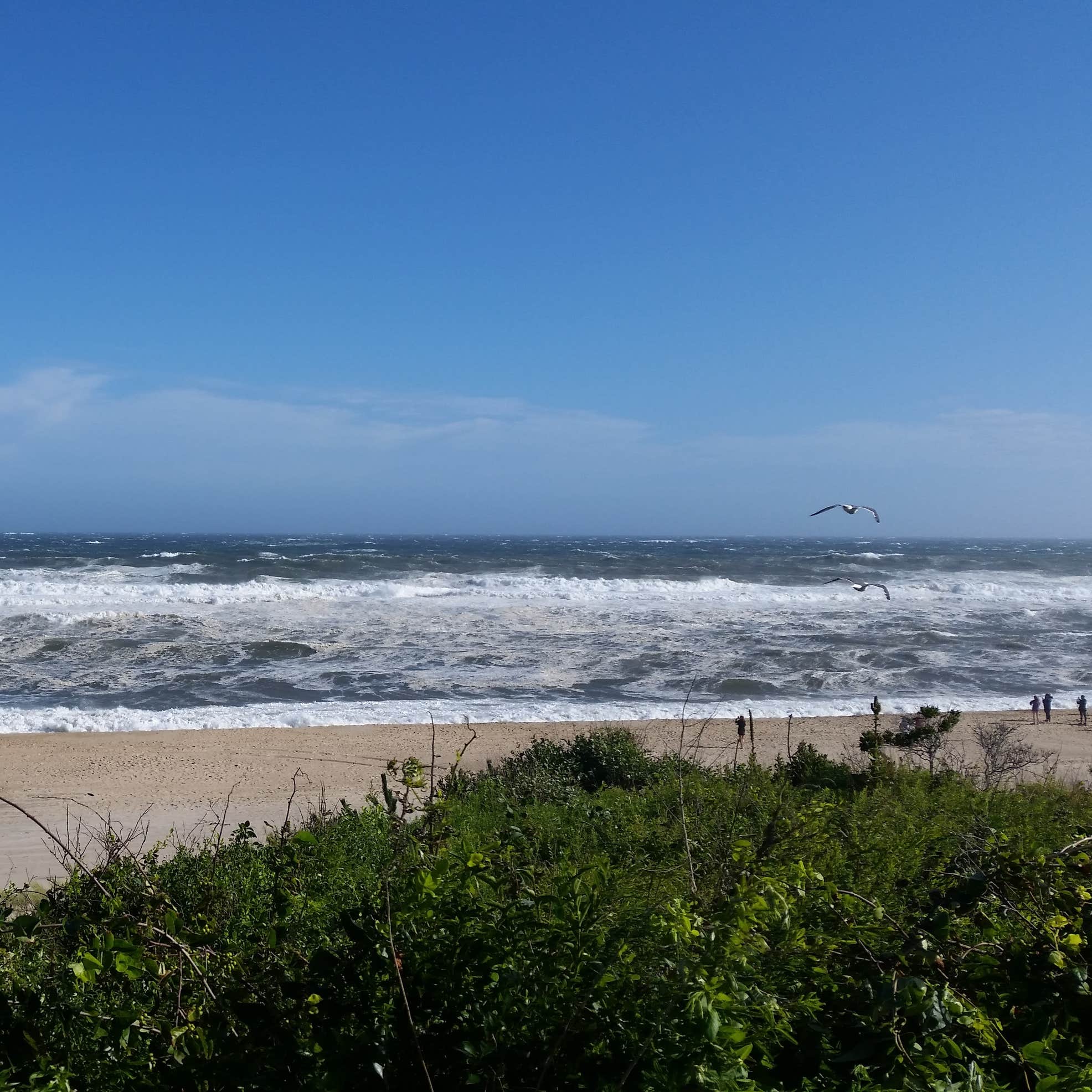 Hither Hills State Park Campground | Montauk, New York