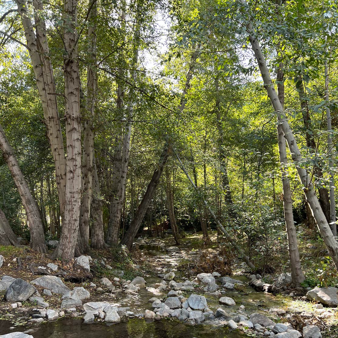 Coldbrook Campground | Glendora, California