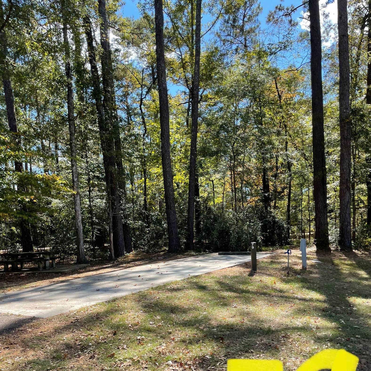 Percy Quin State Park Campground | McComb, Mississippi