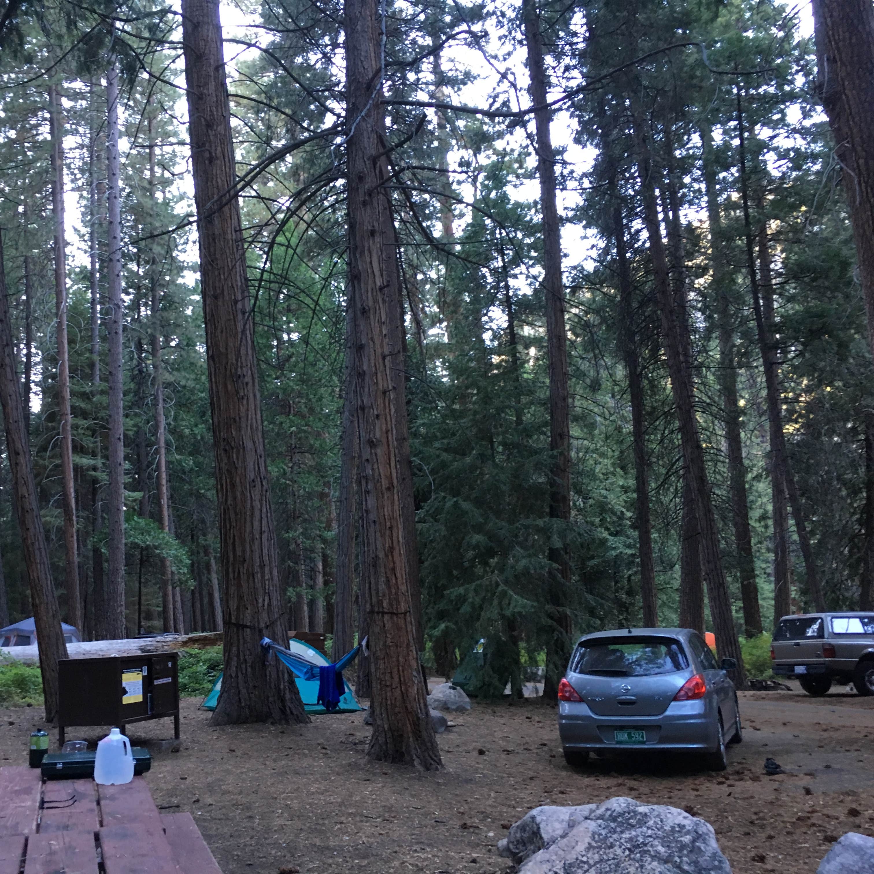 Sentinel Campground Camping | The Dyrt