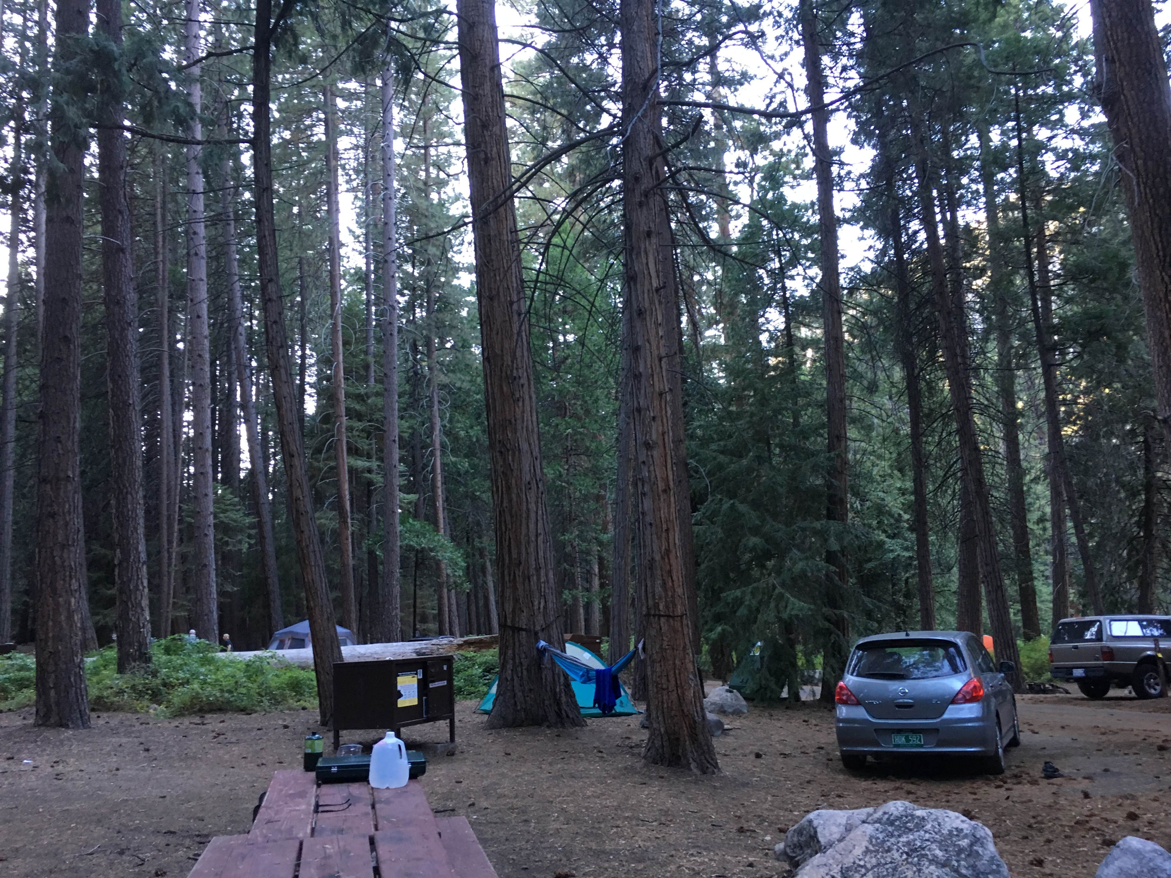 Sentinel Campground — Kings Canyon National Park | Three rivers, CA
