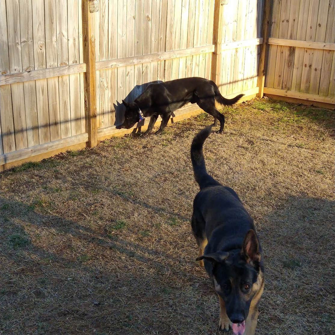 Maple Ridge RV Park | Rutherfordton, North Carolina