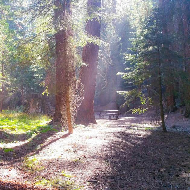 Atwell Mill Campground — Sequoia National Park | Three Rivers, CA