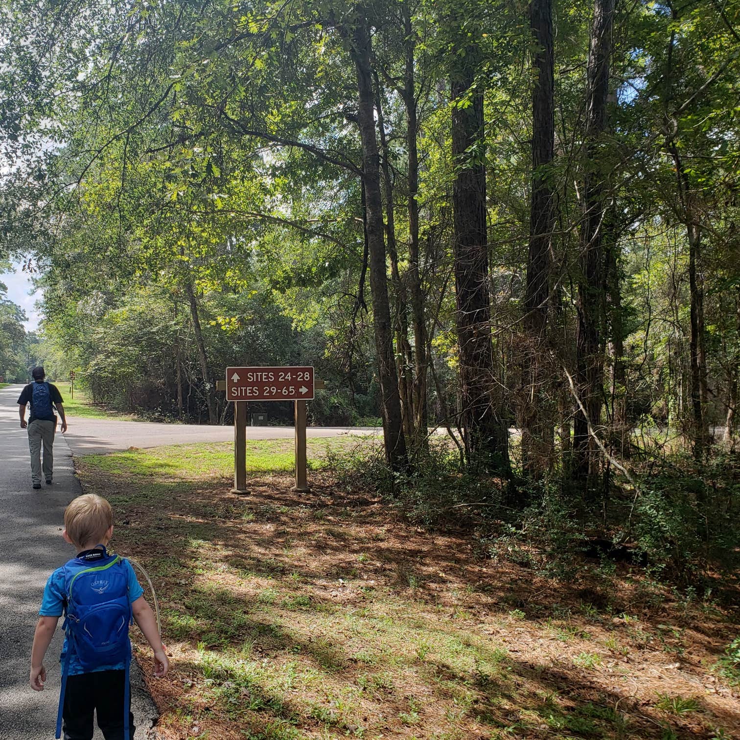 Double Lake Recreation Area Camping | The Dyrt