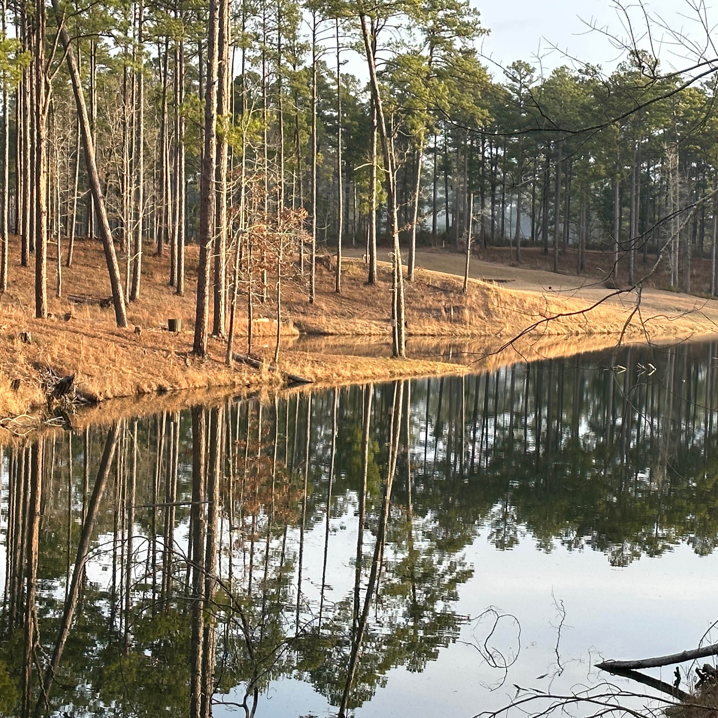 Gum Springs Recreation Area — Kisatchie National Forest Camping ...