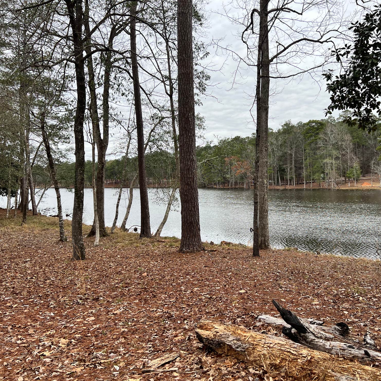 Clarkco State Park Campground | Quitman, MS