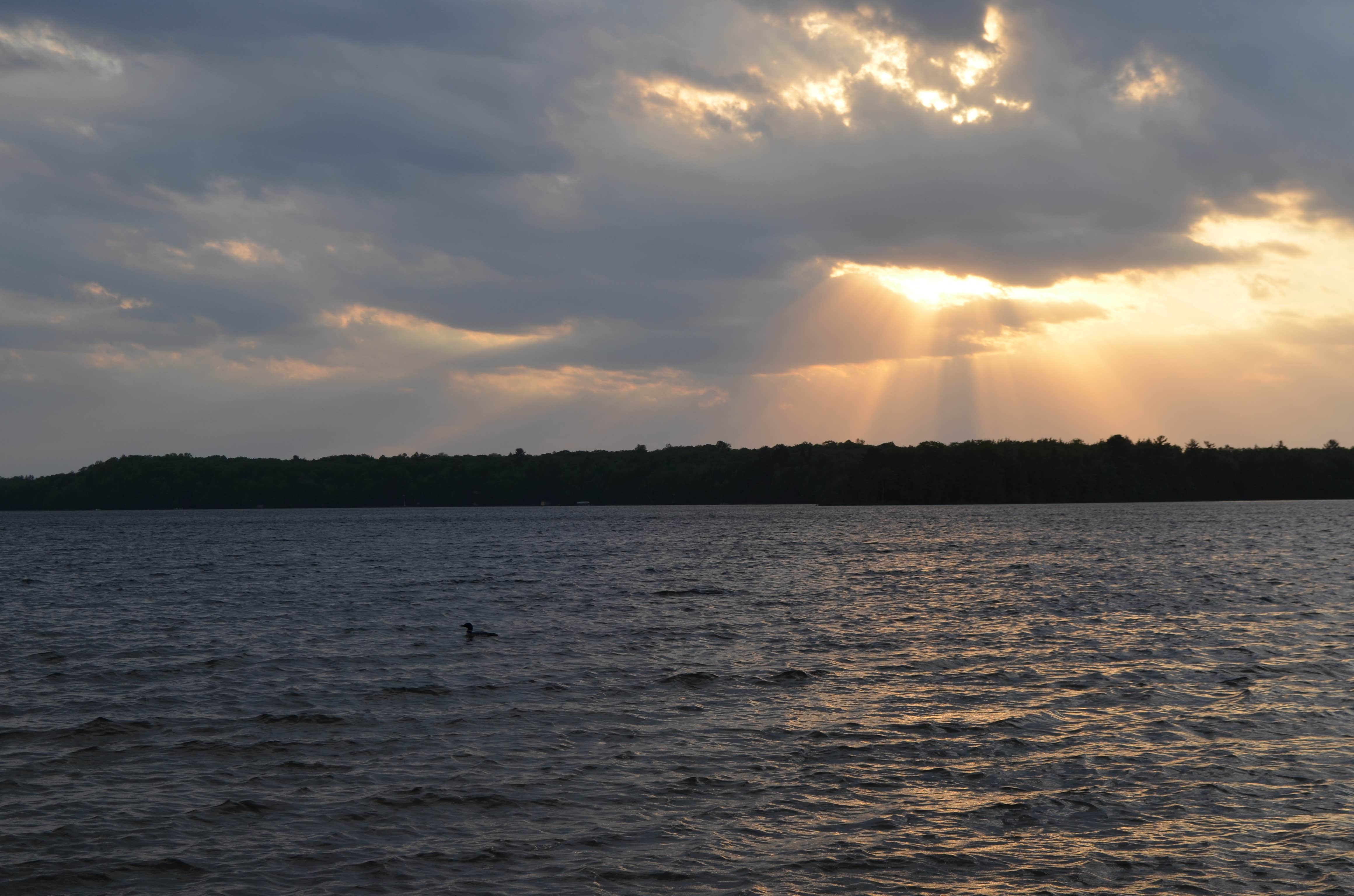 Franklin Lake Camping | The Dyrt