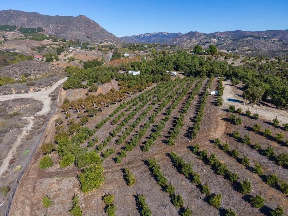 Santa Margerita River Campground | Fallbrook, CA