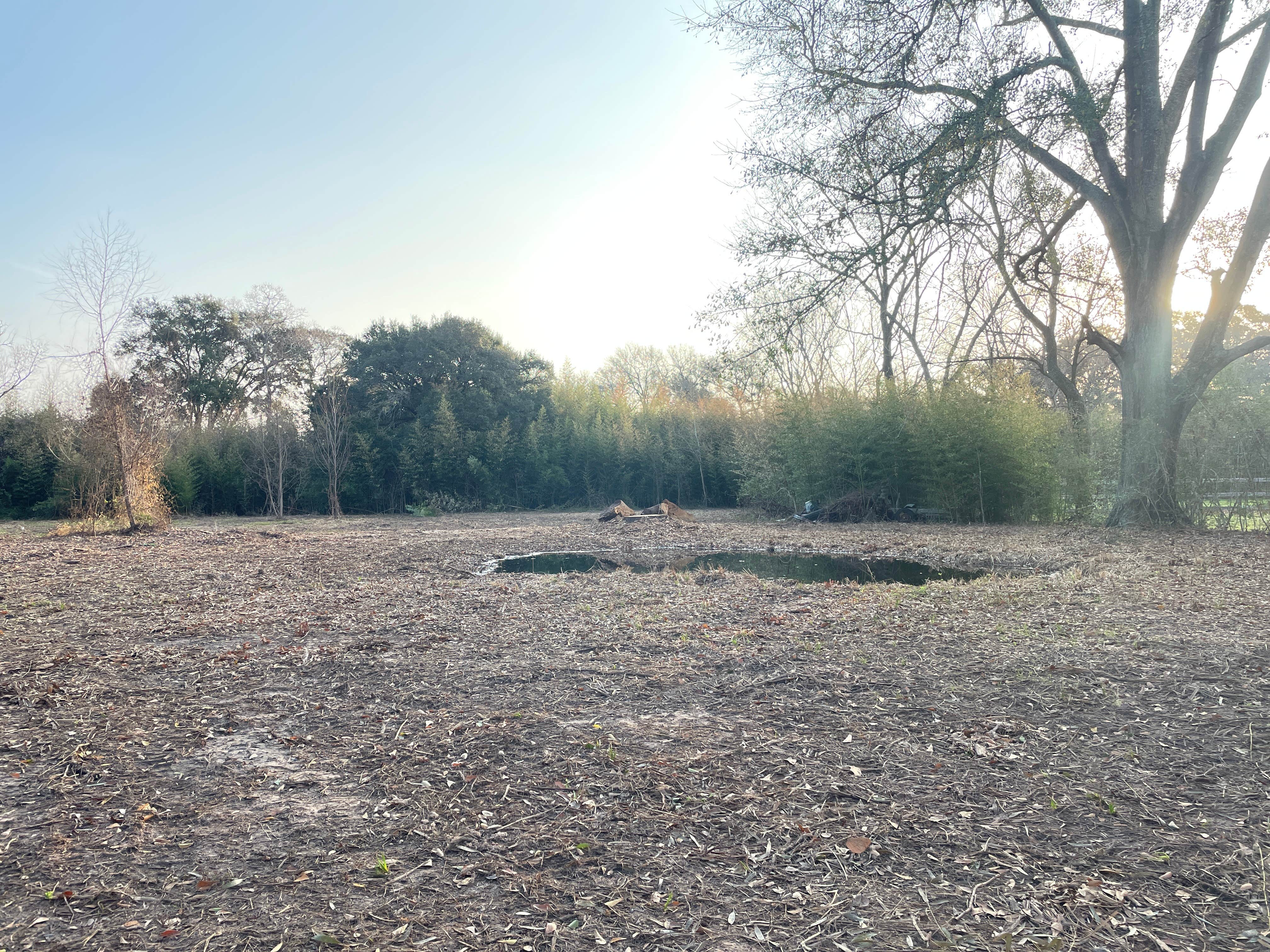 Bambolea Camping | Cypress, TX