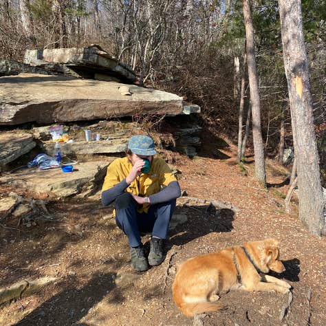 Prentice Cooper State Forest Dispersed Camping | The Dyrt