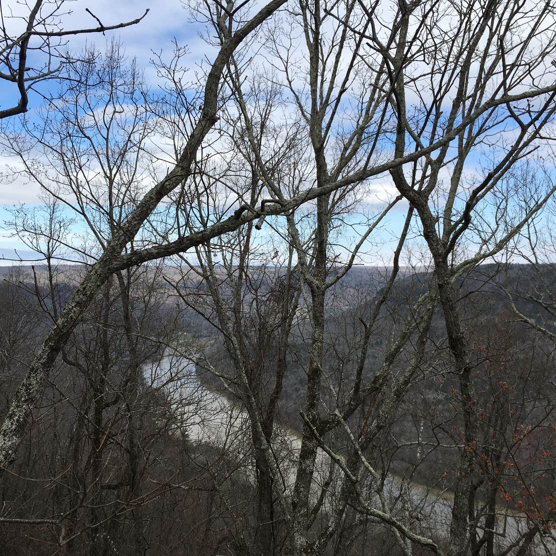 Prentice Cooper State Forest Dispersed | Signal Mountain, TN