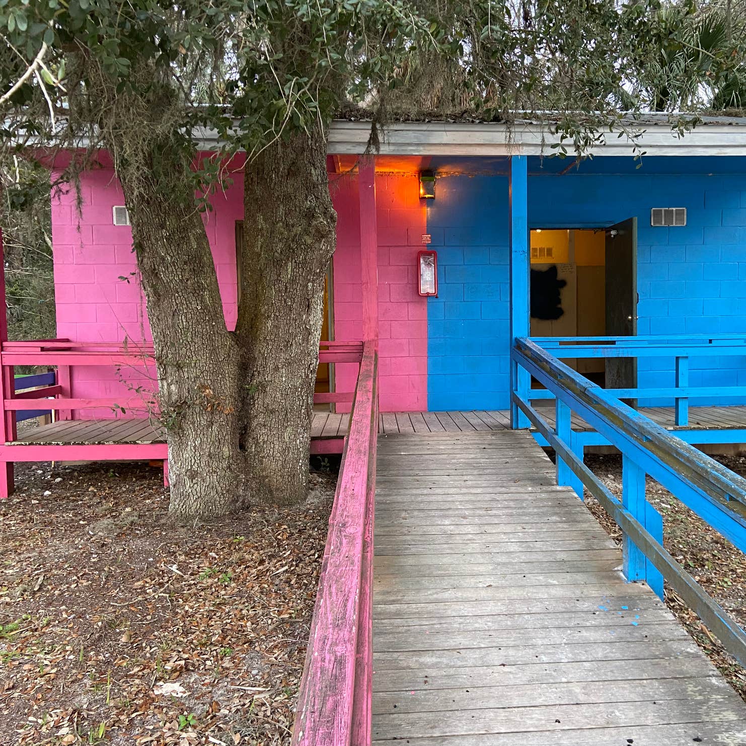 Shired Island Campground | Cedar Key, Florida