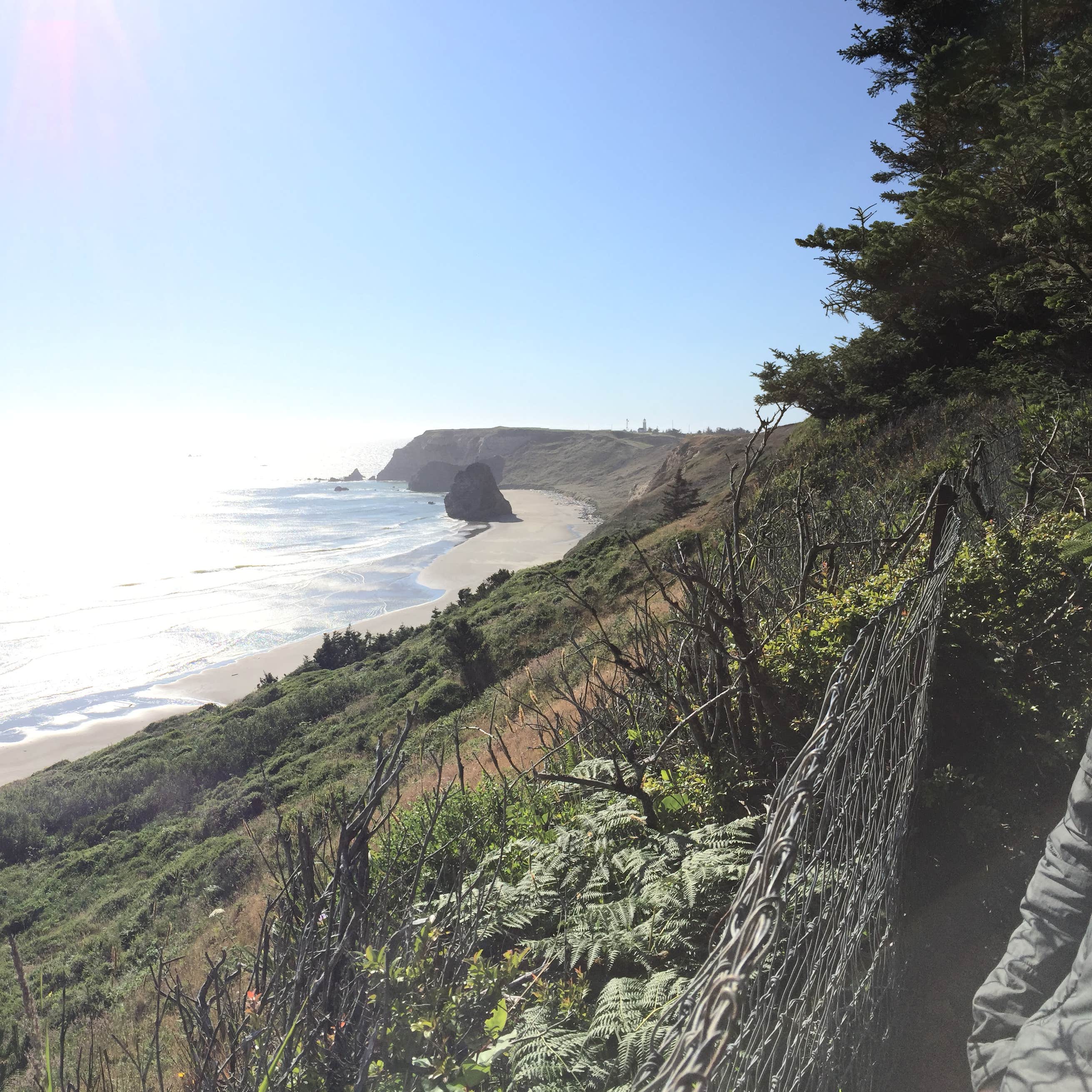 Cape Blanco State Park Camping | The Dyrt