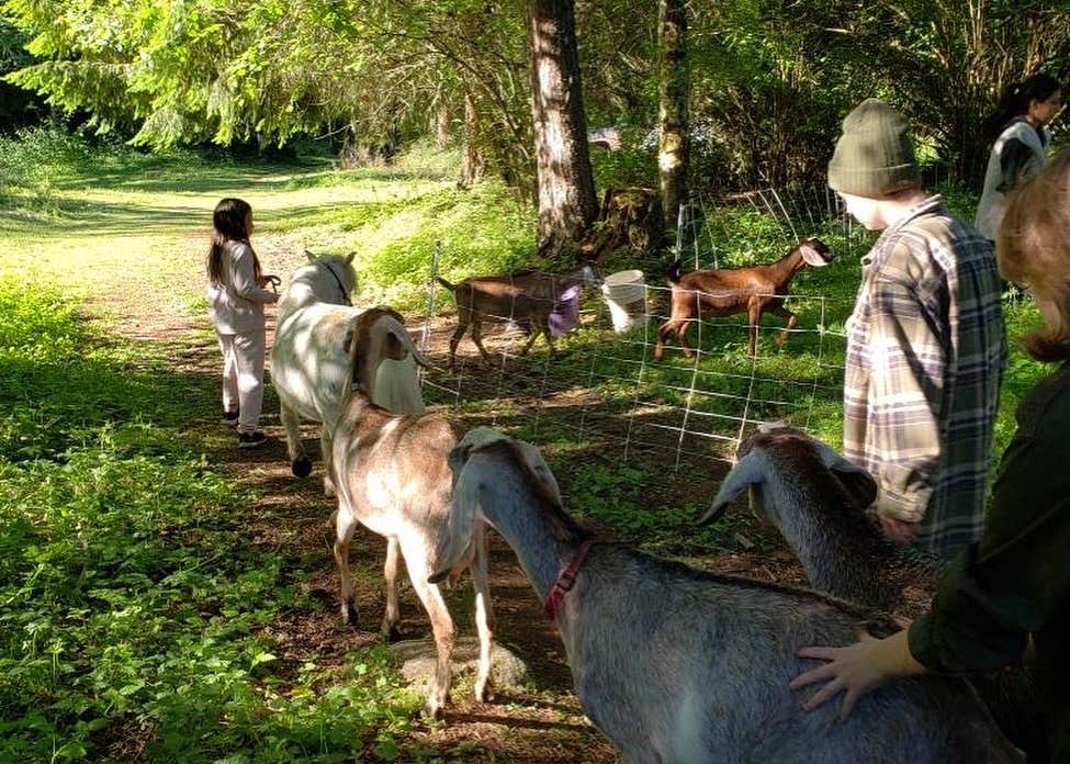 The Healing Farm Camping | The Dyrt