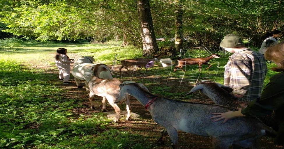 The Healing Farm Camping | Yelm, Washington
