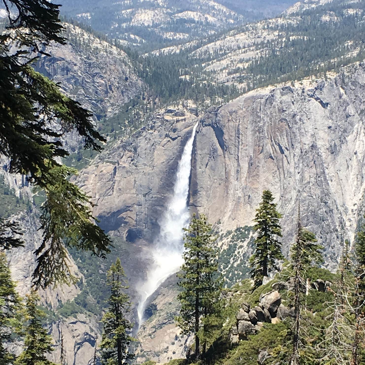 Dewey Point Backcountry Site — Yosemite National Park | Yosemite Valley, CA
