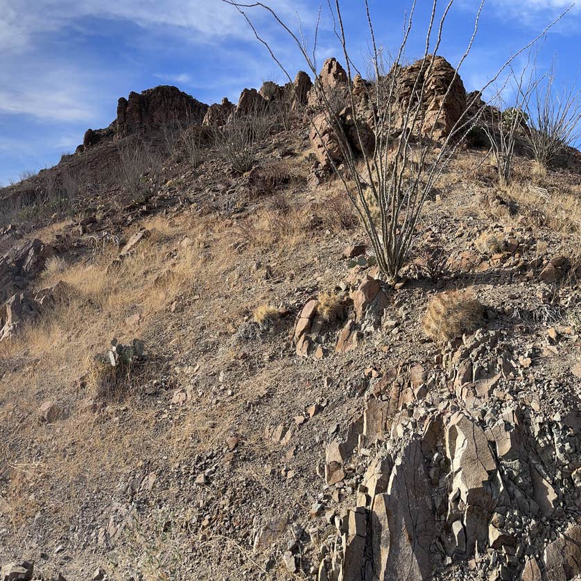 Maverick Ranch RV Park | Terlingua, Texas