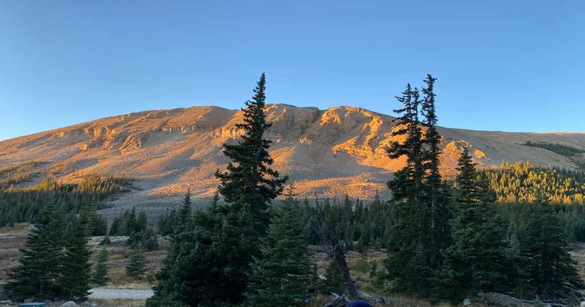 Wandering Moose Meadows Camping | Alma, CO