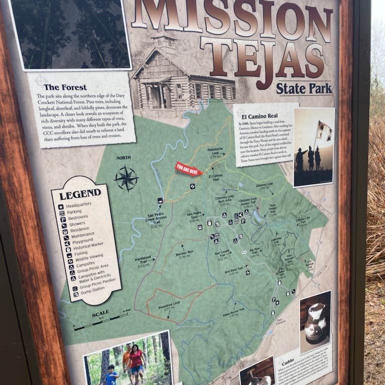 Mission Tejas State Park Campground | Alto, Texas