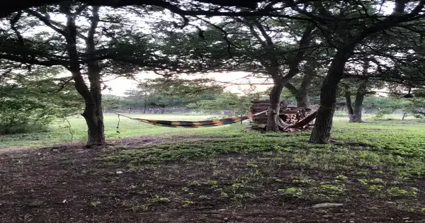 SHAMBA Farm | Elgin, TX