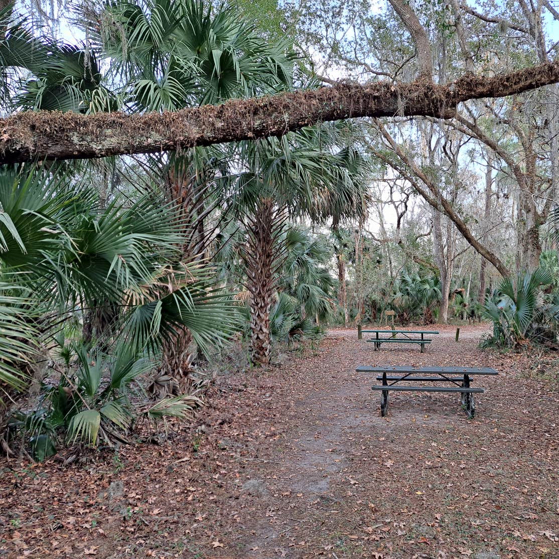 Lake Eaton Campground Camping | The Dyrt