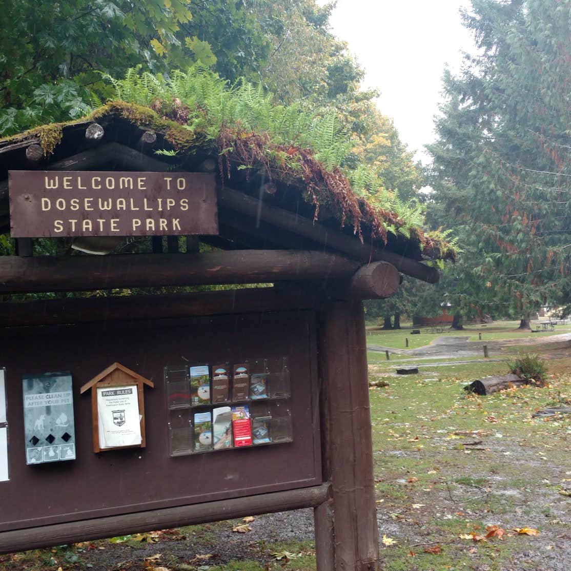 Dosewallips State Park Camping | The Dyrt